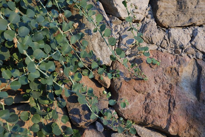 Wine tasting THE CLASSICS - What Could Be Better?