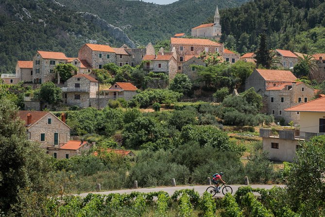 Wine Tasting Tour - Who Will Love This Tour?