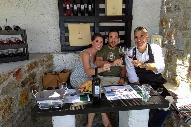 Wine Tasting Tour at a Traditional Farm in Mykonos - Overview of the Wine Tasting Experience
