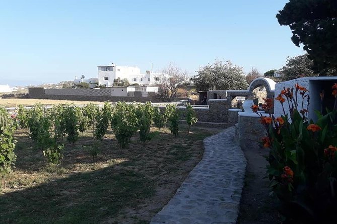 Wine Tasting Tour at a Traditional Farm in Mykonos - Participant Feedback