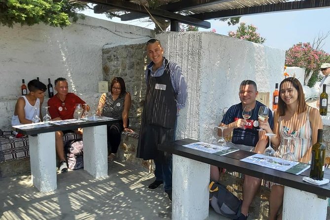 Wine Tasting Tour at a Traditional Farm in Mykonos - Setting and Ambiance