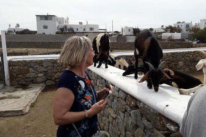 Wine Tasting Tour at a Traditional Farm in Mykonos - Accessibility and Considerations
