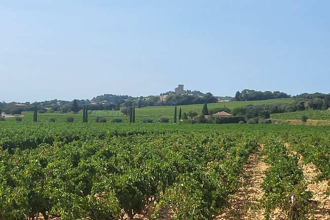 Wine Tasting Tour at Châteauneuf du Pape - Practical Tips for Participants
