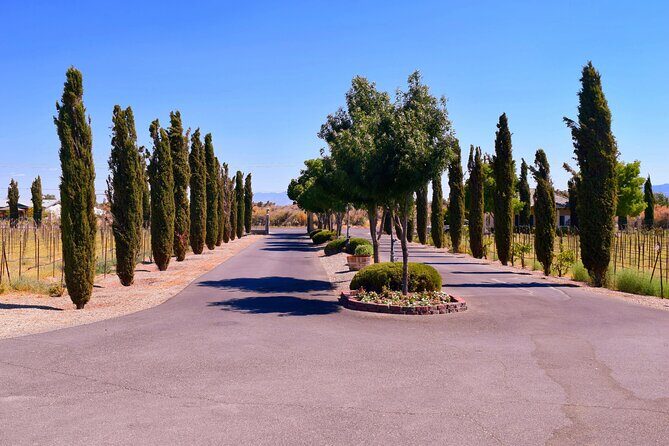 Wine Tasting Tour from Las Vegas with Snacks - The Sum Up: Is It Worth It?