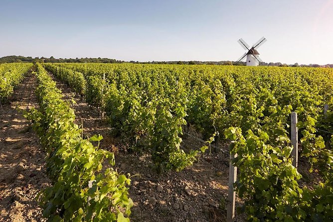 Wine Tasting Tour in Loire Valley With Castle Visits and Lunch - Discovering the Chinon Winery