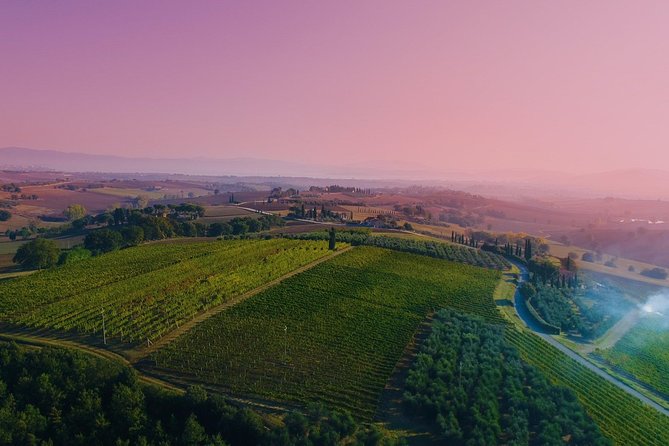 Wine Tasting & Tour Premium - Wine and Food Pairings