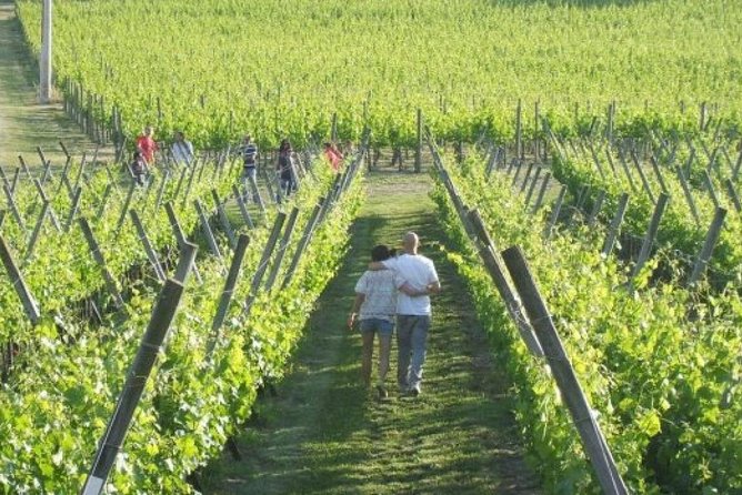 Wine Tasting & Tour Premium - How to Prepare for Your Visit