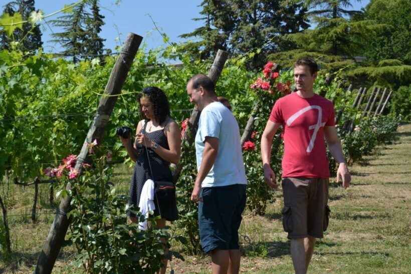 Wine tasting tour with olive oil and salami - Discovering the Charm of an Emilia-Romagna Wine Tasting Tour