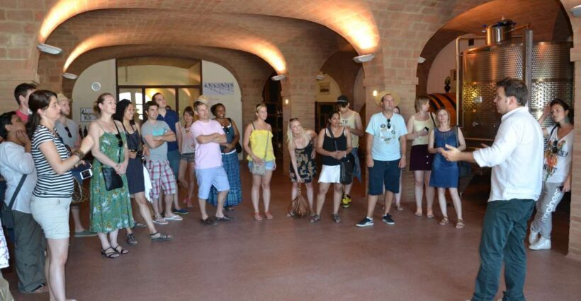 Wine tasting tour with olive oil and salami - Who Will Love This Tour?