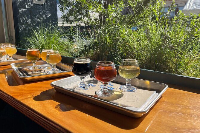 Wine Tasting Tours in a Vintage VW Bus - Who Should Consider This Tour?