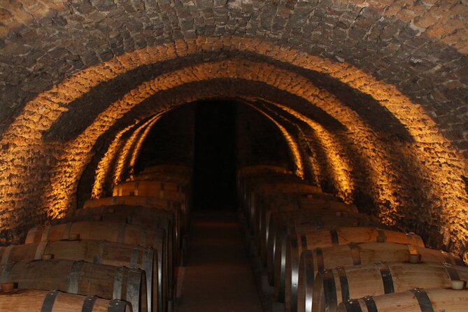 "Wine tasting tours in Burgundy" - Who Will Love This Tour?