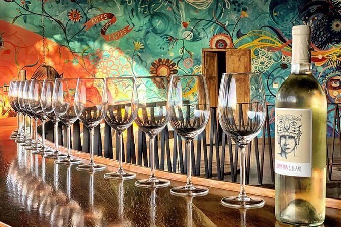 Wine tasting Valle de Guadalupe & Casa Frida - An In-Depth Look at the Itinerary