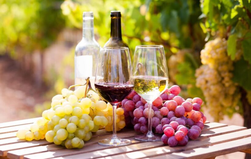 Wine Tasting + Vesuvio All Inclusive - The Sum Up