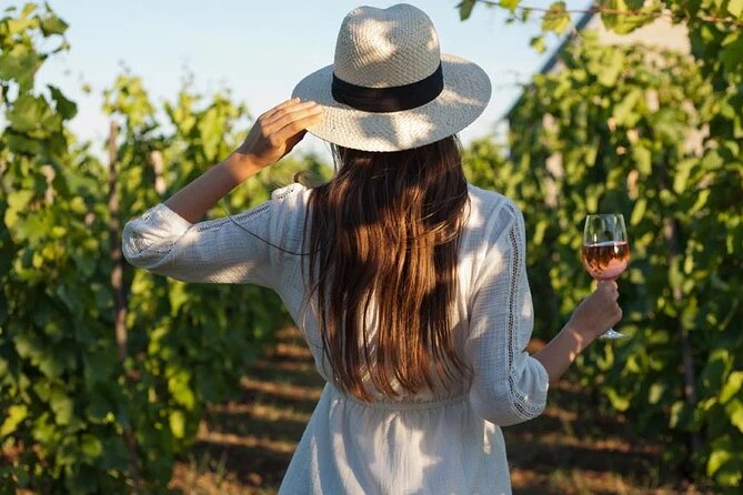 Wine Tasting & Vineyards Escape near Tirana - Discovering Albanian Wine: A Small-Group Vineyard Tour from Tirana
