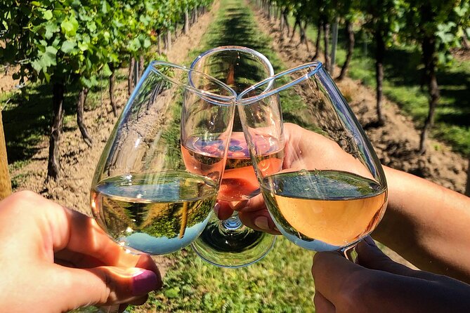 Wine Tasting & Vineyards Escape near Tirana - Final Thoughts: Is It Worth It?