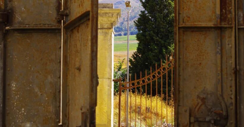 Wine Tasting whit Painting Lesson in Baglio Florio - Practical Details and Value