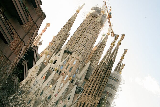 Wine Tasting With a View of the Sagrada Familia - Accessibility Information