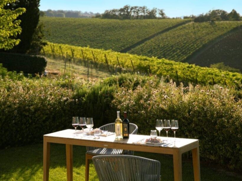 Wine Tasting with Food Pairing near Bologna - Wine Tasting with Food Pairing near Bologna: A Deep Dive into Emilia-Romagna’s Flavors
