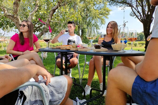 Wine Tasting With Local Food in Lazise Countryside - Key Points