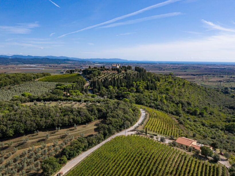 Wine Tasting with Local Food Pairing near Livorno - Discover the Flavors of Tuscany: Wine Tasting with Local Food Near Livorno