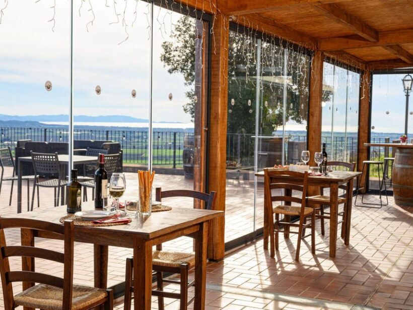 Wine Tasting with Local Food Pairing near Livorno - Who Will Appreciate This Tour?