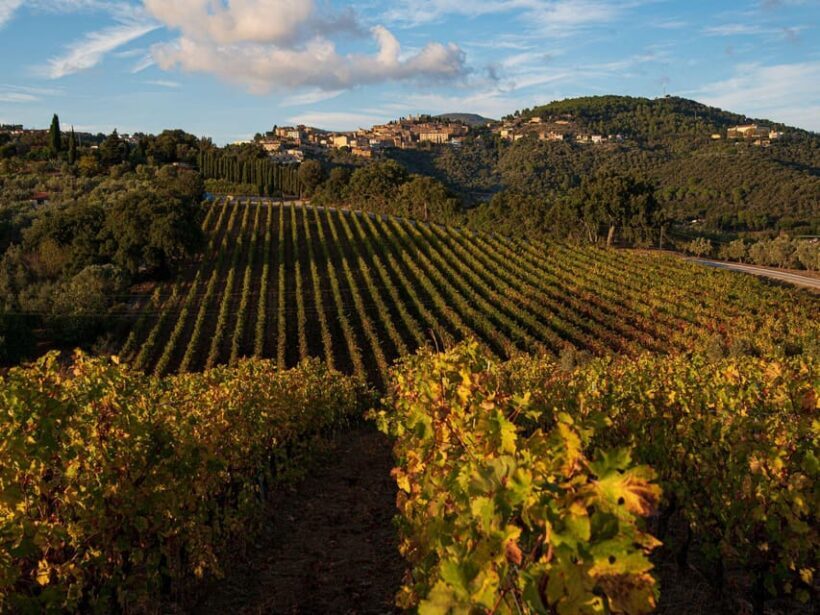 Wine Tasting with Local Food Pairing near Livorno - FAQs