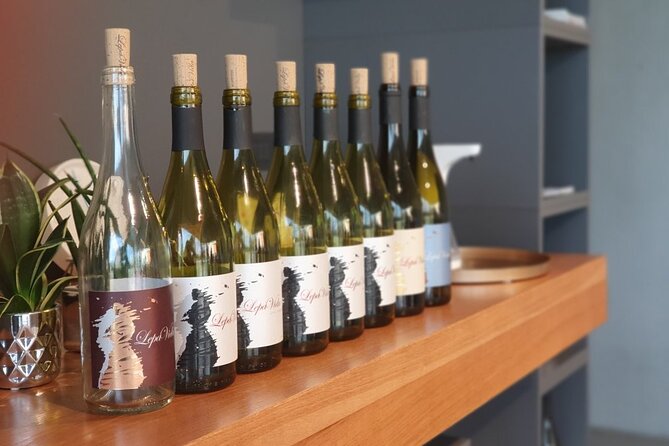 Wine Tasting With Pairing Snacks in Vipava Valley - Exploring the Vipava Valley Terroir