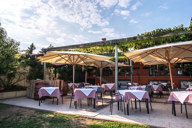 Wine Tasting With Panoramic View of Verona - Accessibility and Transportation Options