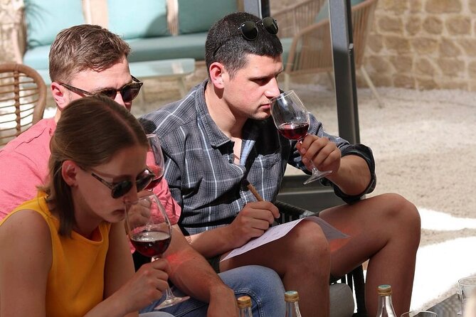 Wine tasting with wines from the smallest wineries in Mallorca - Who Should Book This Tour?