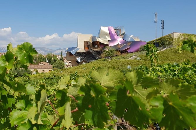 Wine Tour: 2 Wineries From Logroño - Wine Tastings and Culinary Delights