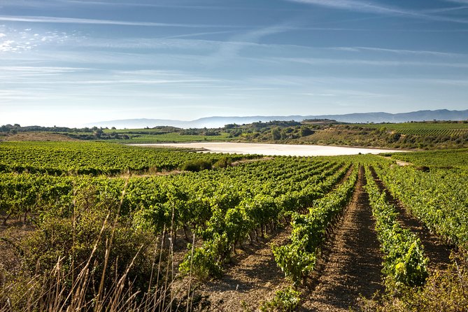Wine Tour: 2 Wineries From Logroño - Preparing for Your Wine Adventure