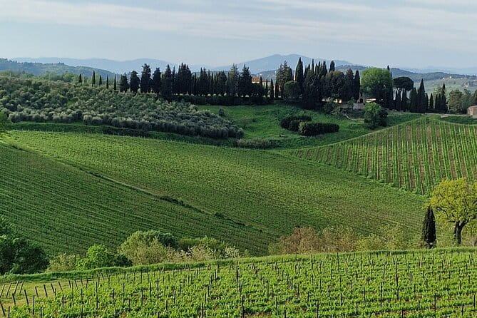 Wine Tour 6 hours 2 top wineries of Chianti Classico Limo Service - Who Should Consider This Tour?