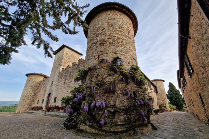 Wine Tour 6 hours 2 top wineries of Chianti Classico Limo Service - The Sum Up