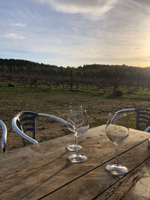 Wine Tour and Lunch or Dinner at Our Vineyard - Key Points