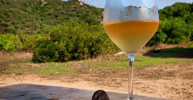 Wine Tour and Lunch or Dinner at Our Vineyard - Culinary Offerings