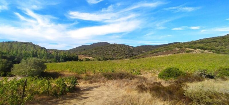 Wine Tour and Lunch or Dinner at Our Vineyard - About the Winery