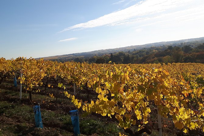 Wine Tour and Tasting at Domain FL - Getting to Domaine FL