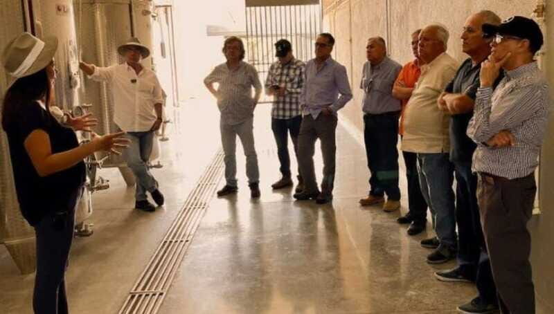 Wine tour and tasting at Vinícola Tierra de Luz - Practical Details and Experience Quality