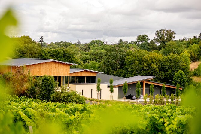 Wine tour and tasting Chateau de Malherbes - Key Points