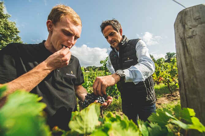 Wine tour and tasting Chateau de Malherbes - Who Should Consider This Tour?