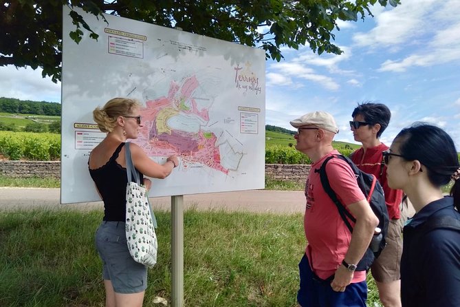 Wine Tour and Tasting in Burgundy - Booking and Cancellation Policy