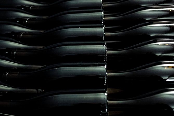 Wine Tour and Tasting in Nocciano - Discovering the Wine-Making Process