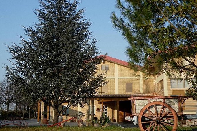 Wine Tour and Tasting in Nocciano - Savoring the Wine and Food Pairing