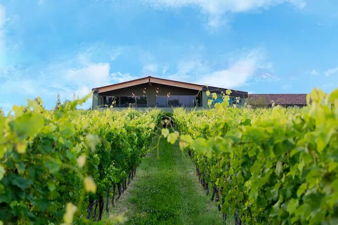 Wine Tour and Tasting of Lugana Wines in Desenzano - Customer Feedback and Ratings