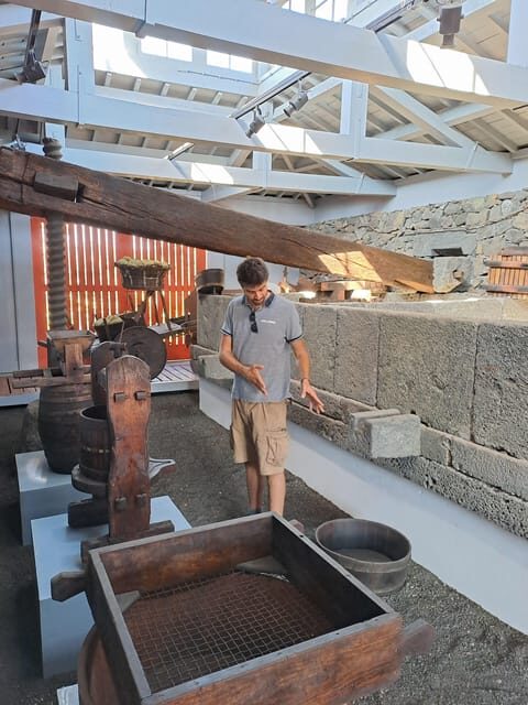 Wine Tour and Tasting with a local Winemaker at Pico Island - An Introduction to Pico’s Unique Viniculture