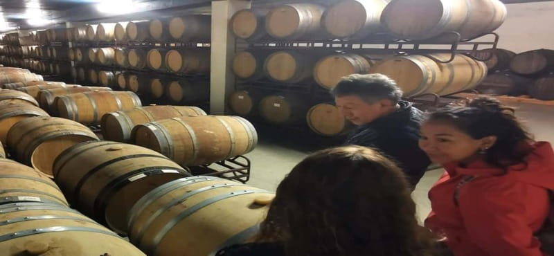 Wine Tour and traditional Portuguese tiles in Half Day Tour - Who Will Love This Tour?