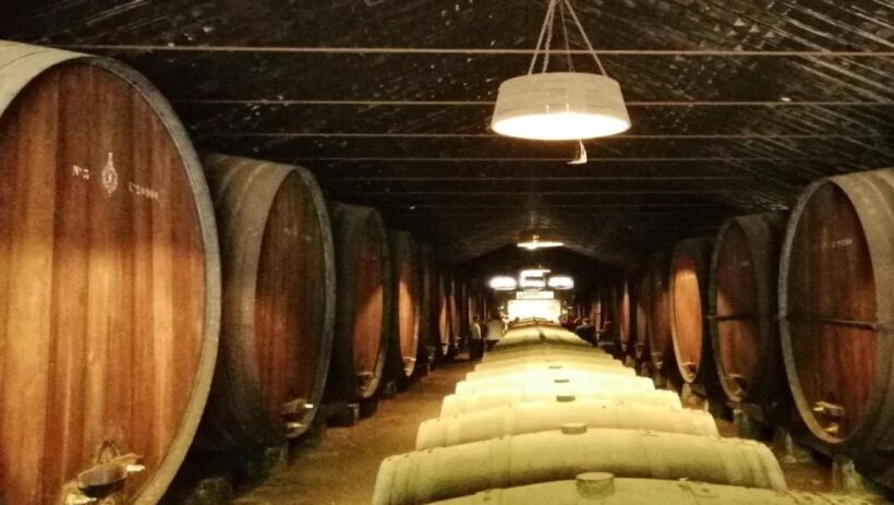 Wine Tour and traditional Portuguese tiles in Half Day Tour - FAQ