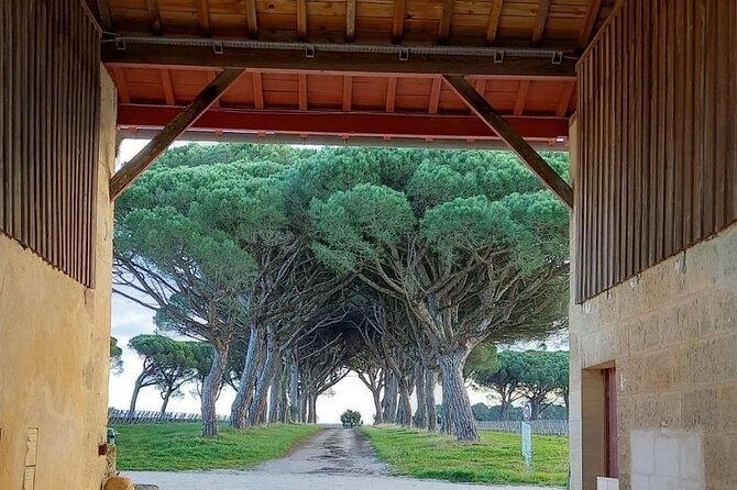 Wine Tour at Chateau Lanessan - Final Thoughts