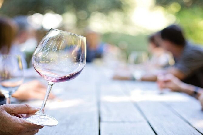 Wine Tour Athens to visit 2 of the most Award-Winning Wineries - The Sum Up