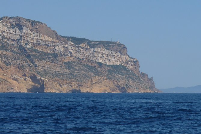 Wine Tour Bandol & Cassis from Marseille - Key Points